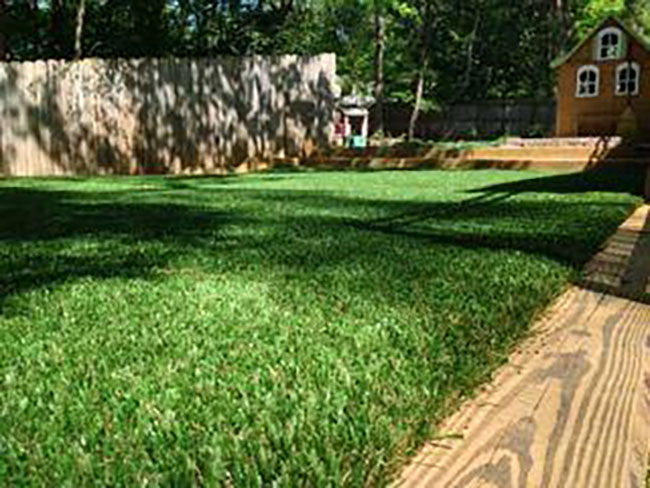 Upgrade Your Play Areas with Playground Grass | ForeverLawn Charlotte